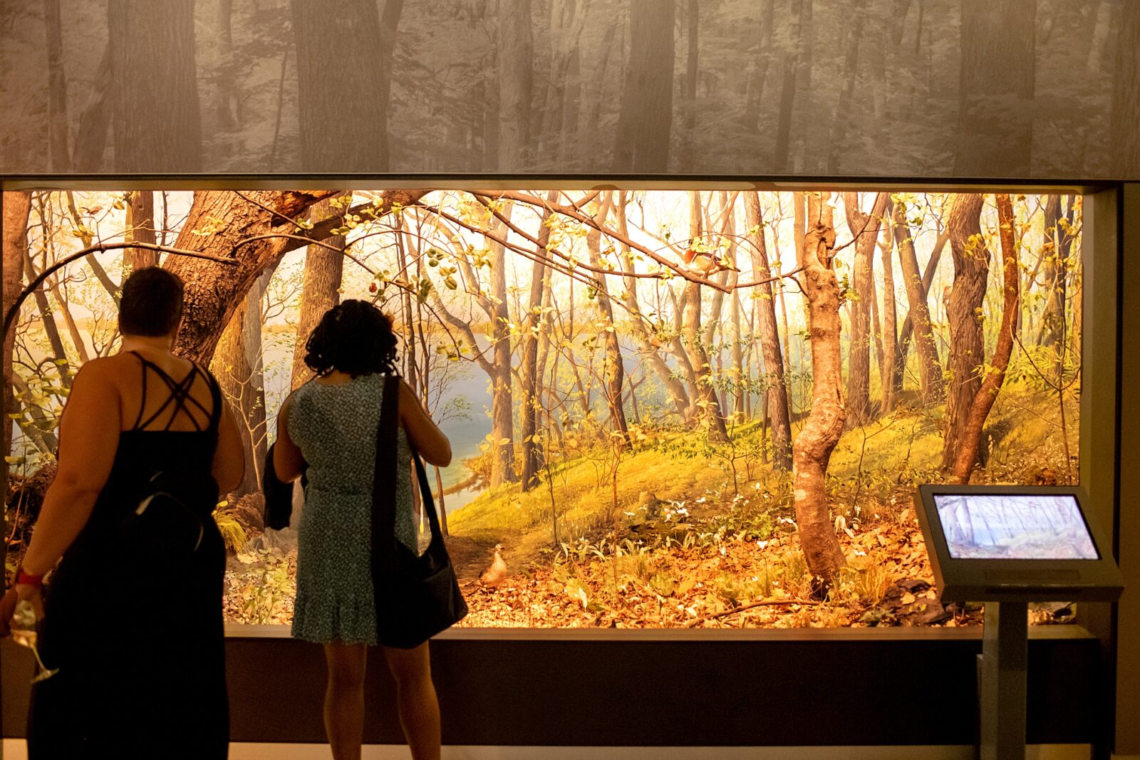 10th Anniversary Party at Bell Museum | Keyed Up Events