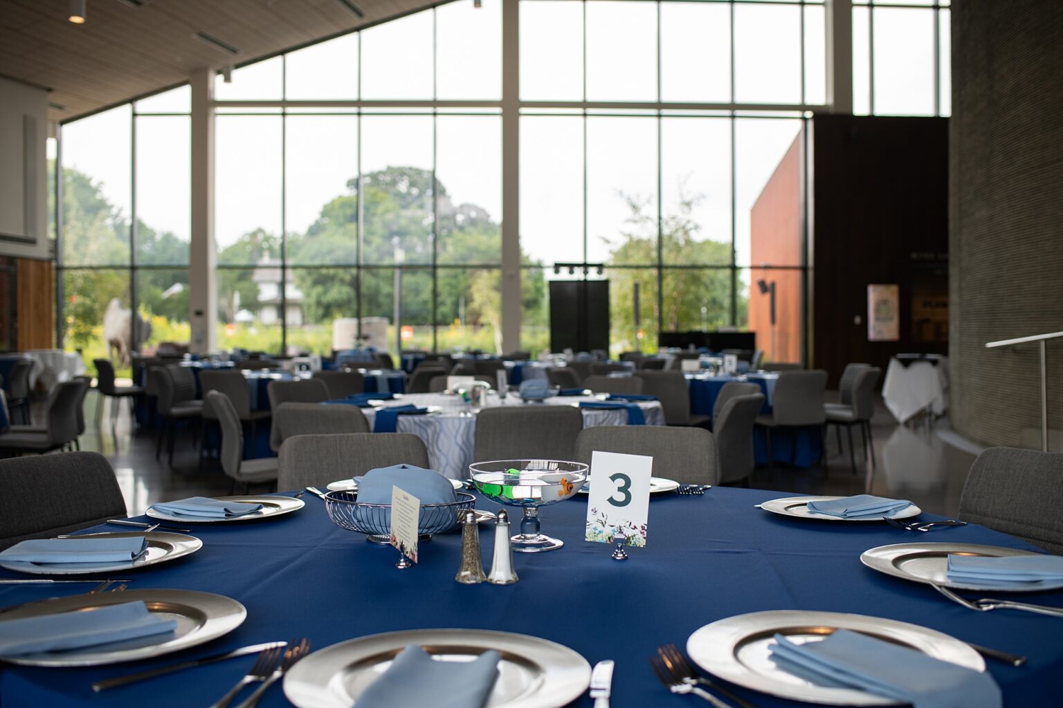 10th Anniversary Party at Bell Museum | Keyed Up Events